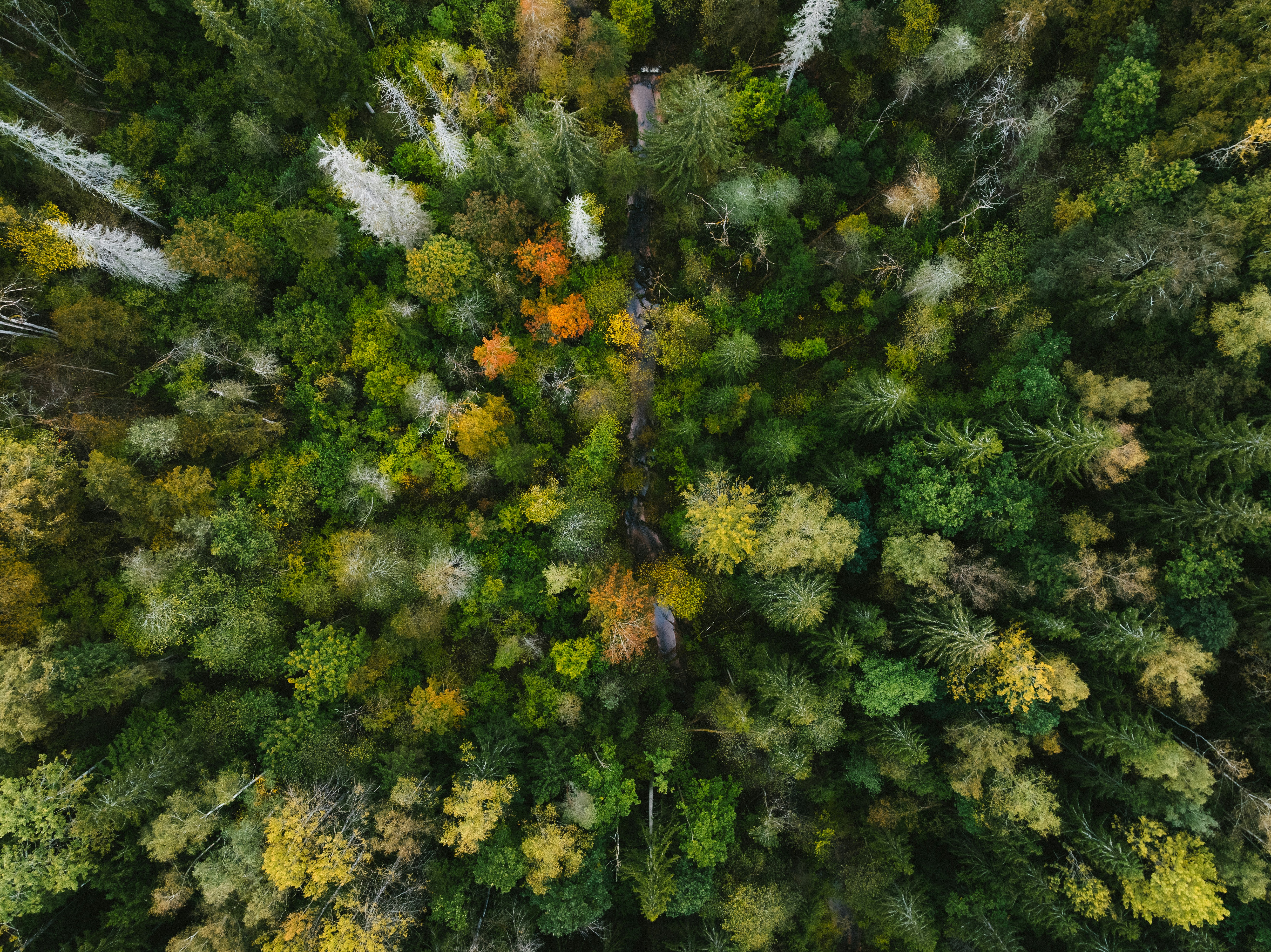 Biodiversity loss could propel world into next financial disaster ...