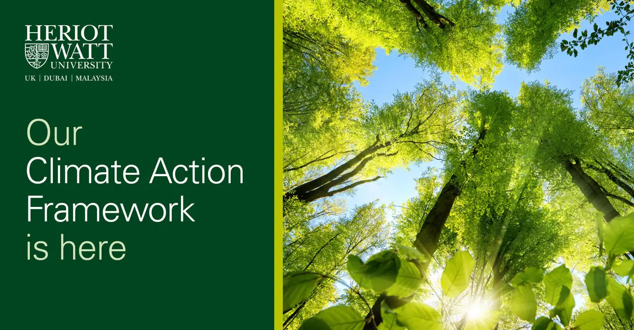 Accelerating sustainable change: collaboration at the heart of global ...